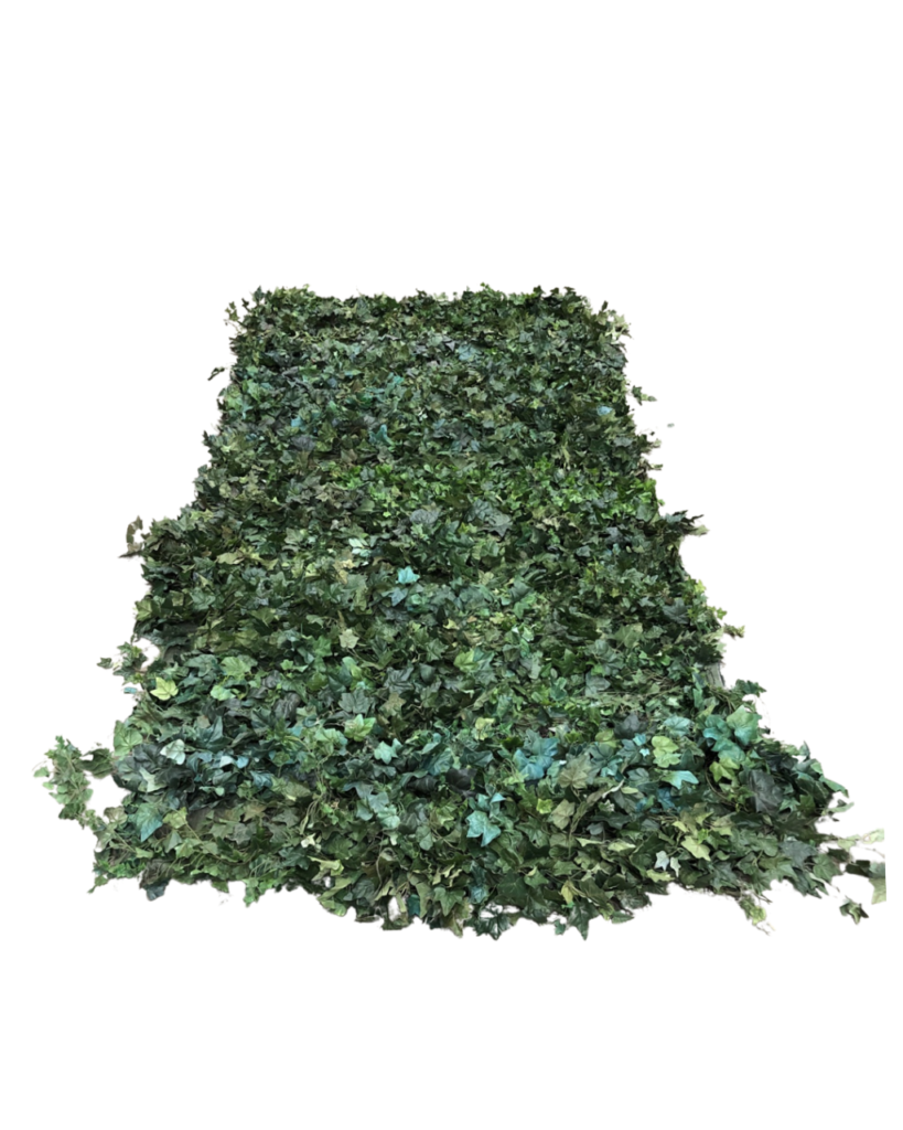 Ivy Blanket